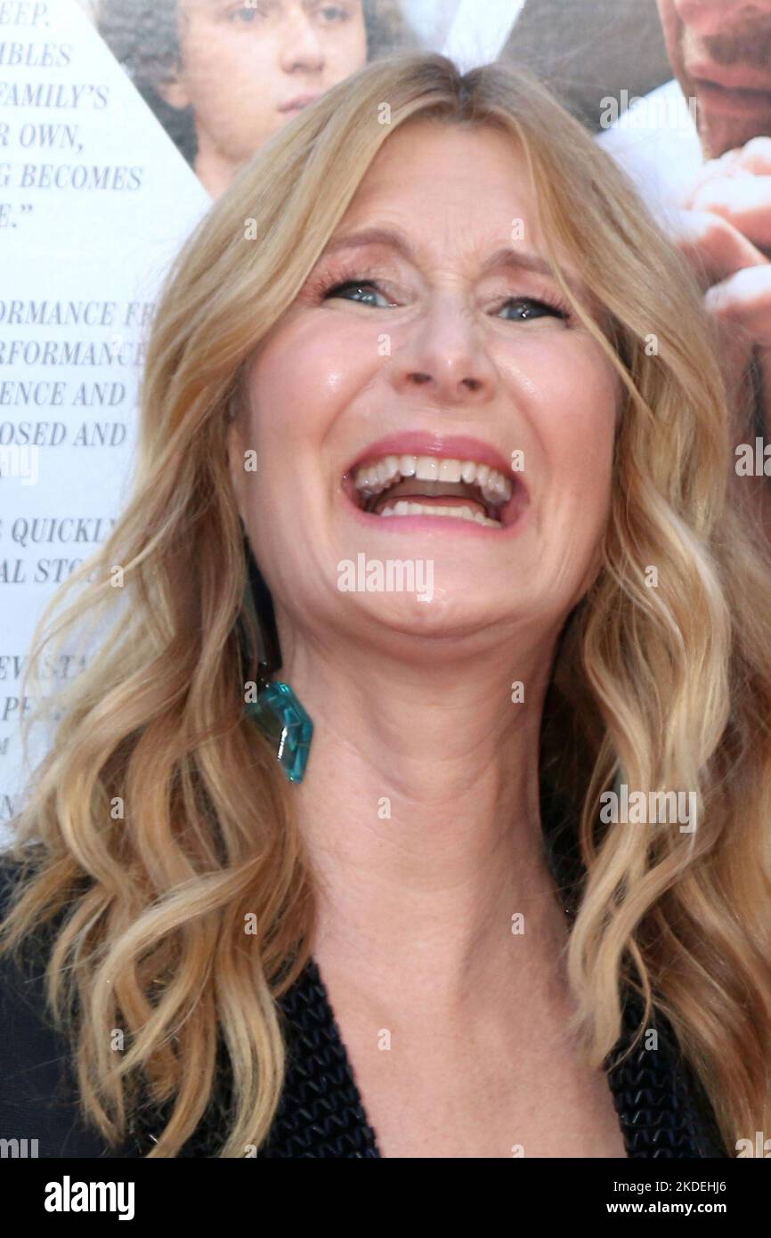 The son premiere at afi fest 2022 hi-res stock photography and images ...