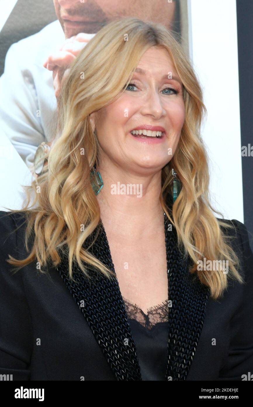 Afi fest the son screening hi-res stock photography and images - Alamy