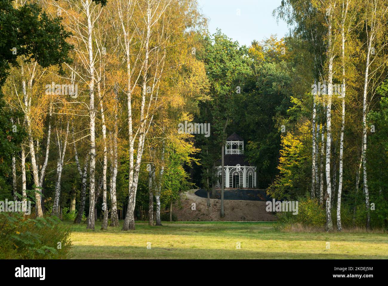 Park zielona hi-res stock photography and images - Alamy