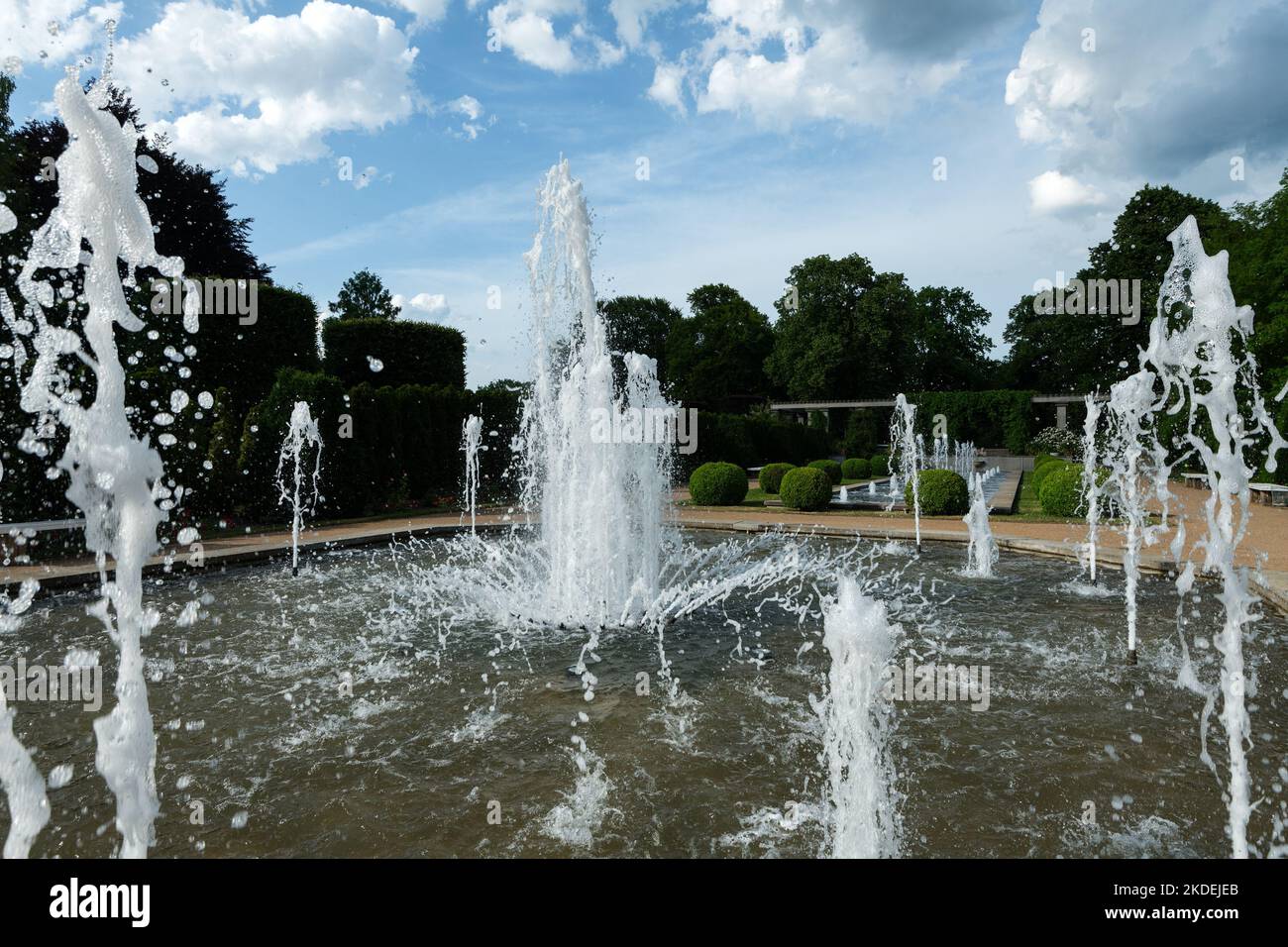 Rosengarten Forst, Lausitz, germany Stock Photo - Alamy