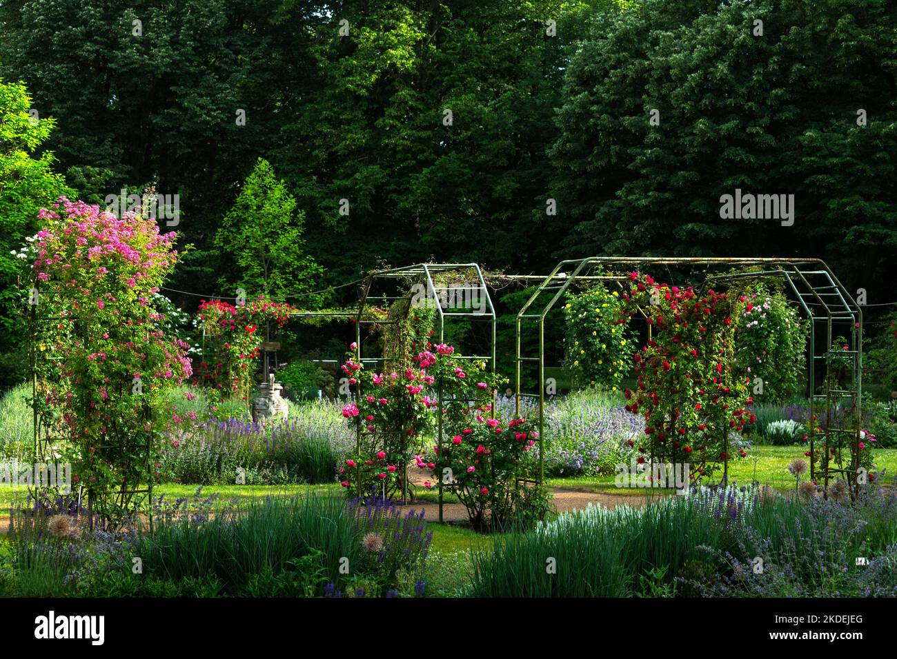 Forst lausitz hi-res stock photography and images - Alamy