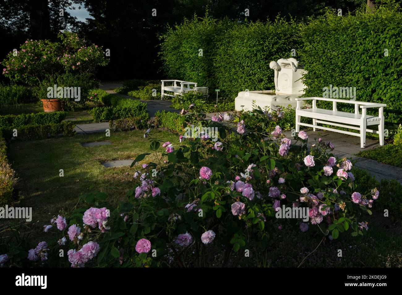 Rosengarten Forst, Lausitz, germany Stock Photo - Alamy
