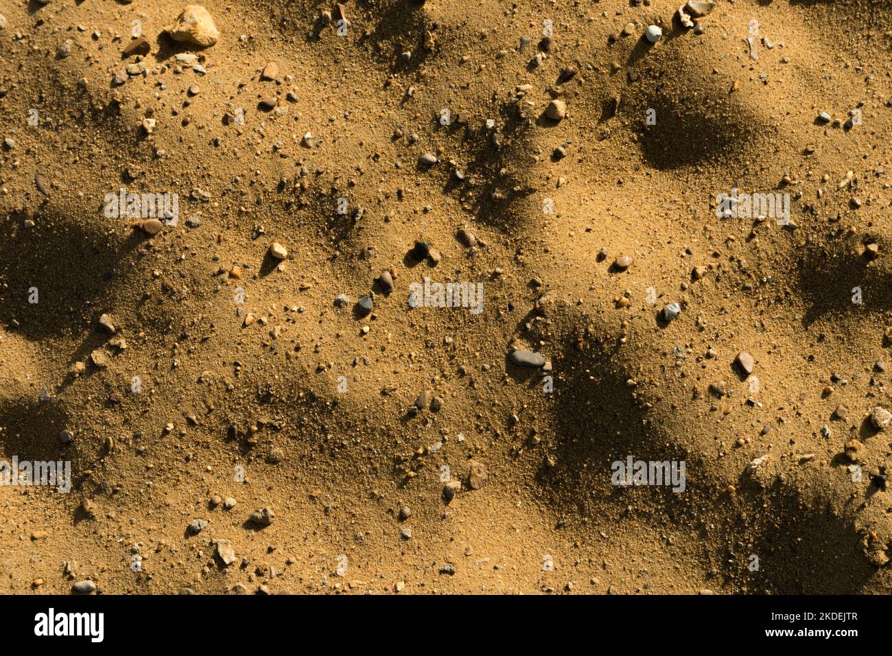 Sand texture with pebbles for background. Close-up Stock Photo - Alamy