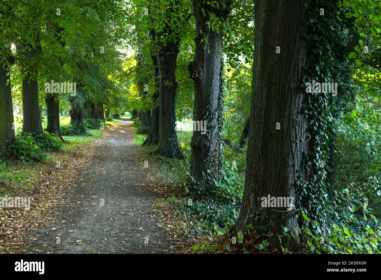 park and castle Brody, Pförten, Poland Stock Photo - Alamy