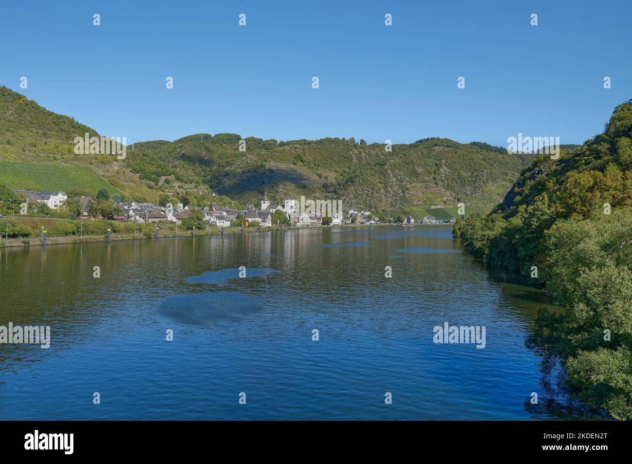 Wine Village of Treis-Karden,Mosel River,Mosel Valley,Germany Stock ...