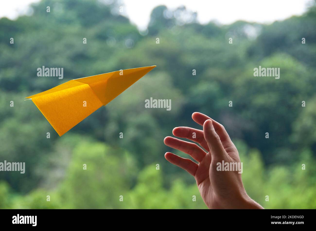 Hand catching flying yellow paper plane with green nature background ...