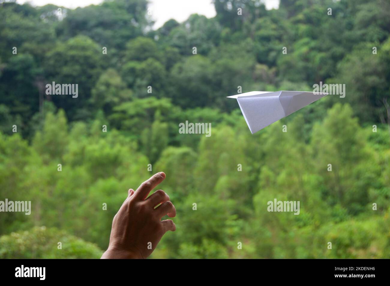 Hand throwing white paper plane with green nature background Stock ...