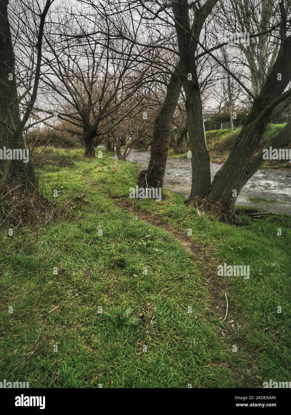 nice path along a river Stock Photo - Alamy
