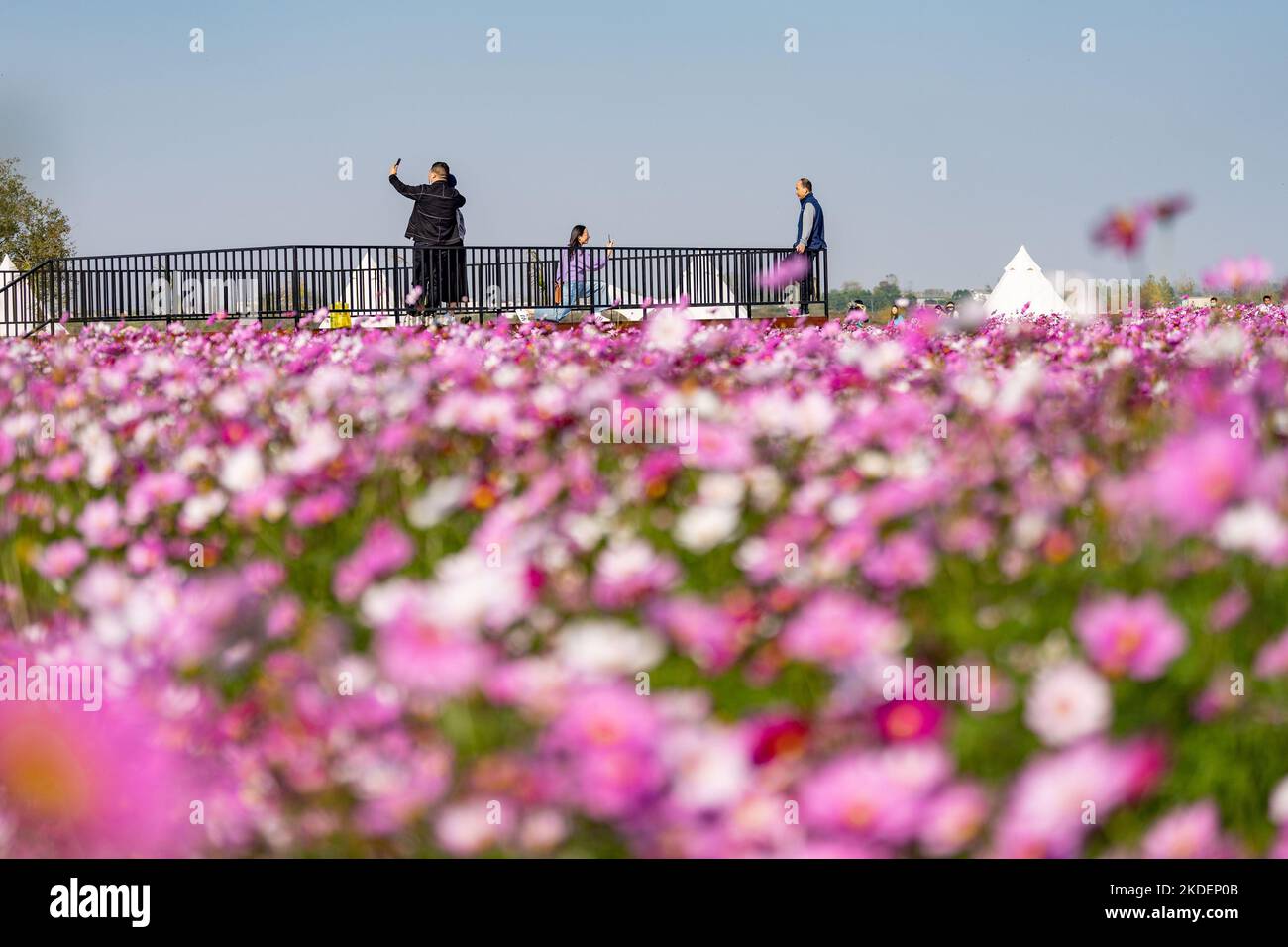 HEFEI, CHINA - NOVEMBER 5, 2022 - People set up tents to camp by the ...