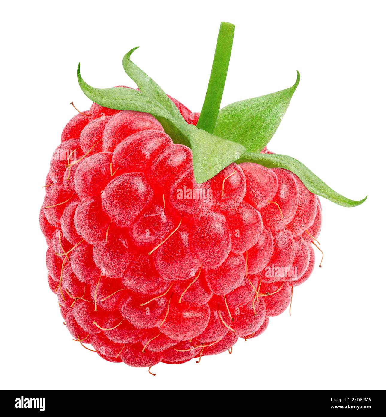 Raspberry isolated on white background, clipping path, full depth of ...