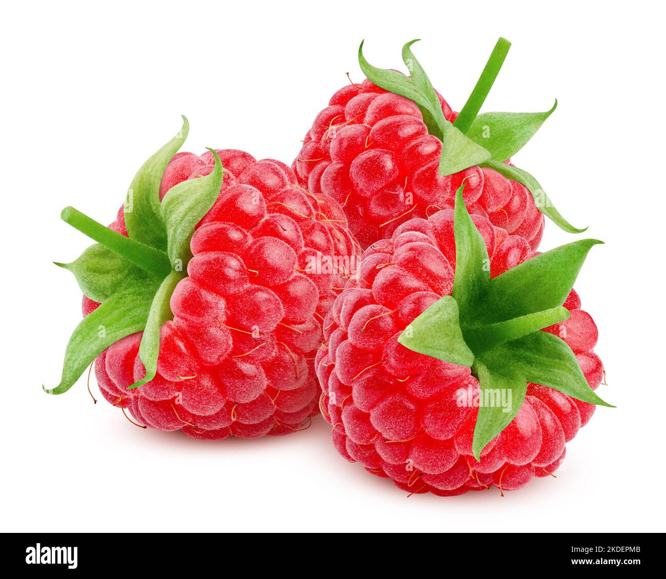 Raspberry isolated on white background, clipping path, full depth of ...