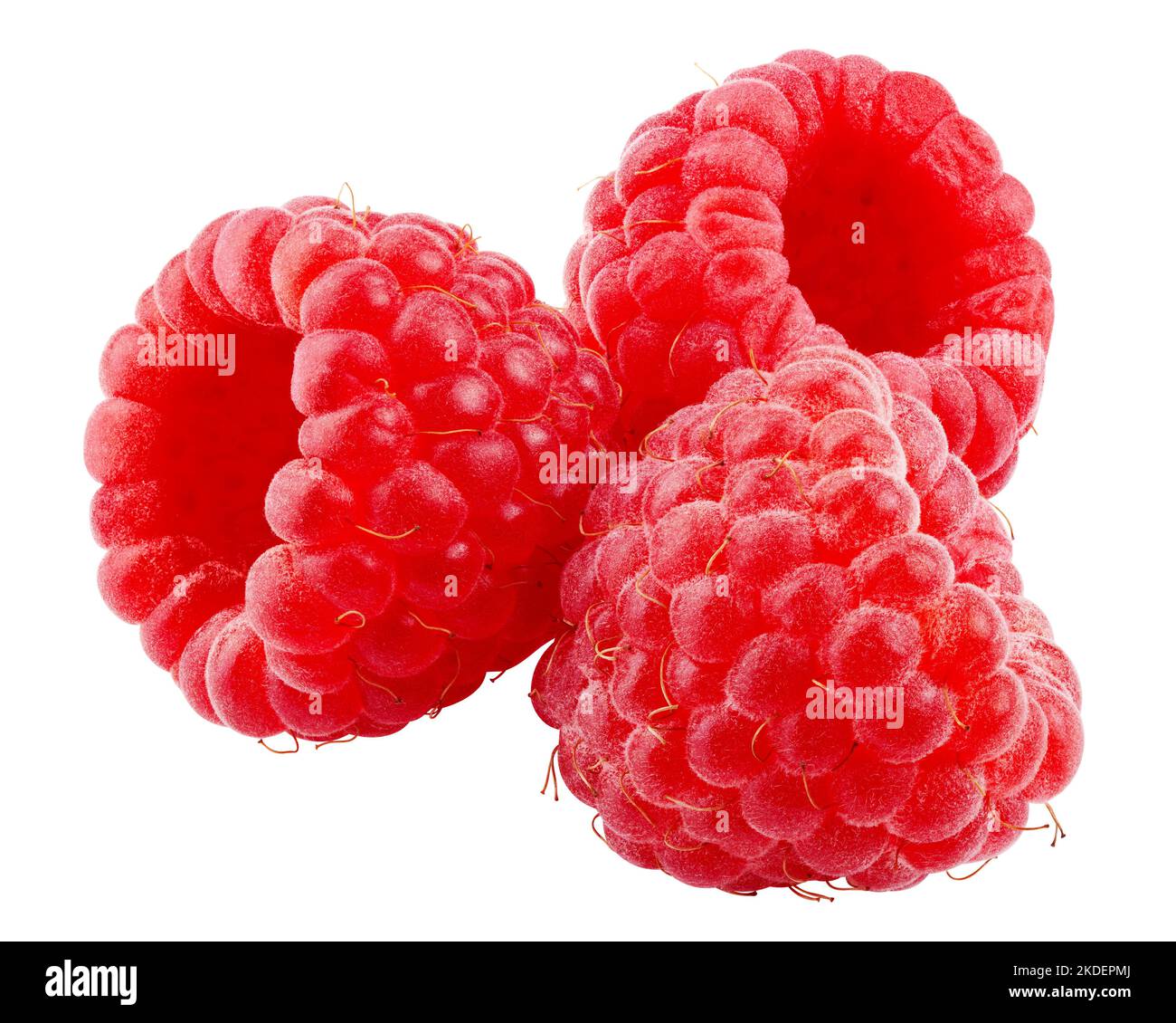 Raspberry isolated on white background, clipping path, full depth of ...