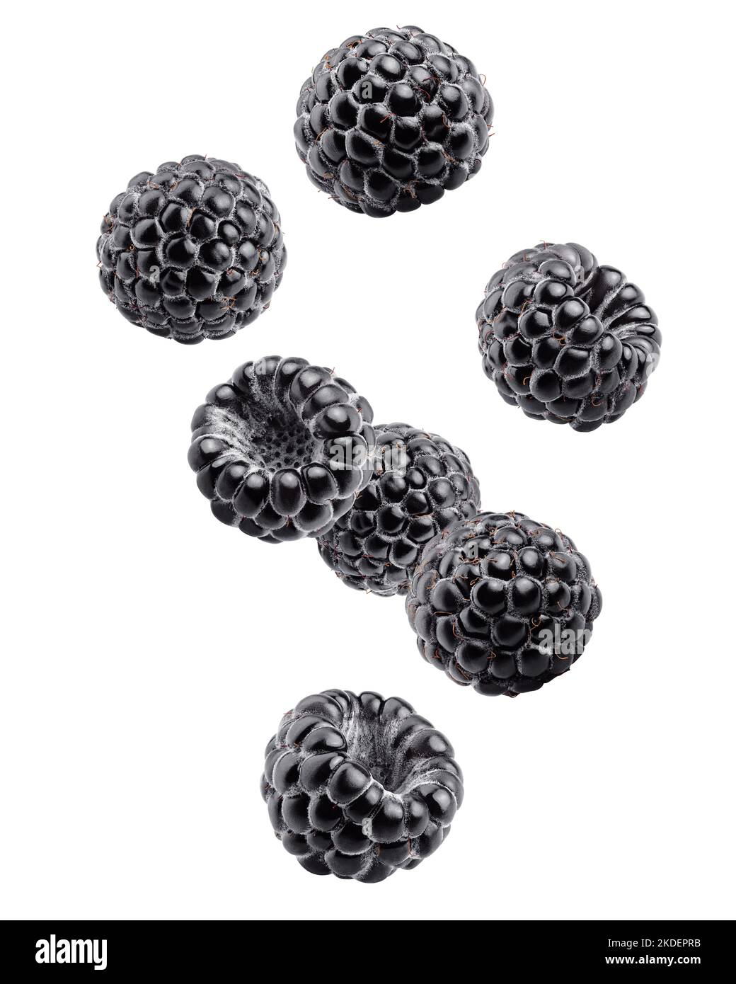 Falling blackberry isolated on white background, clipping path, full ...