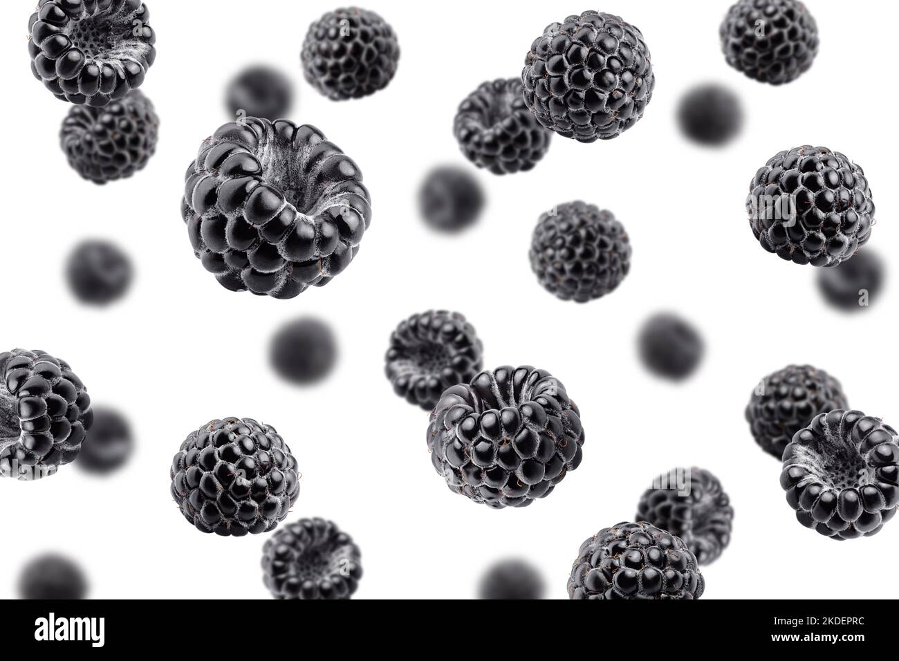 Falling blackberry isolated on white background, selective focus Stock ...