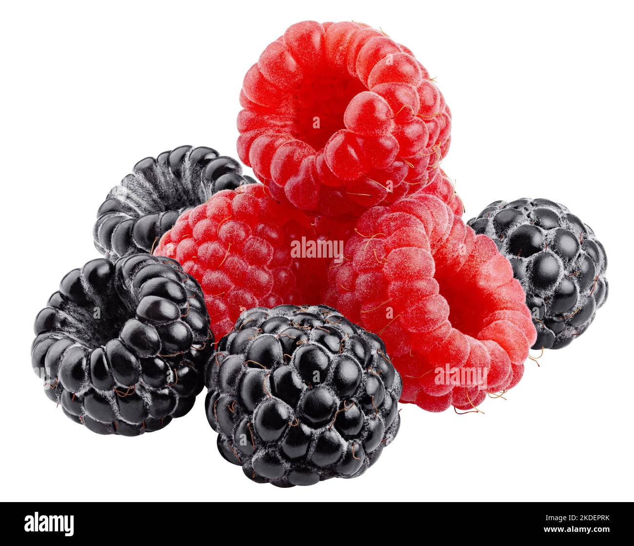 Field forest path Cut Out Stock Images & Pictures - Alamy