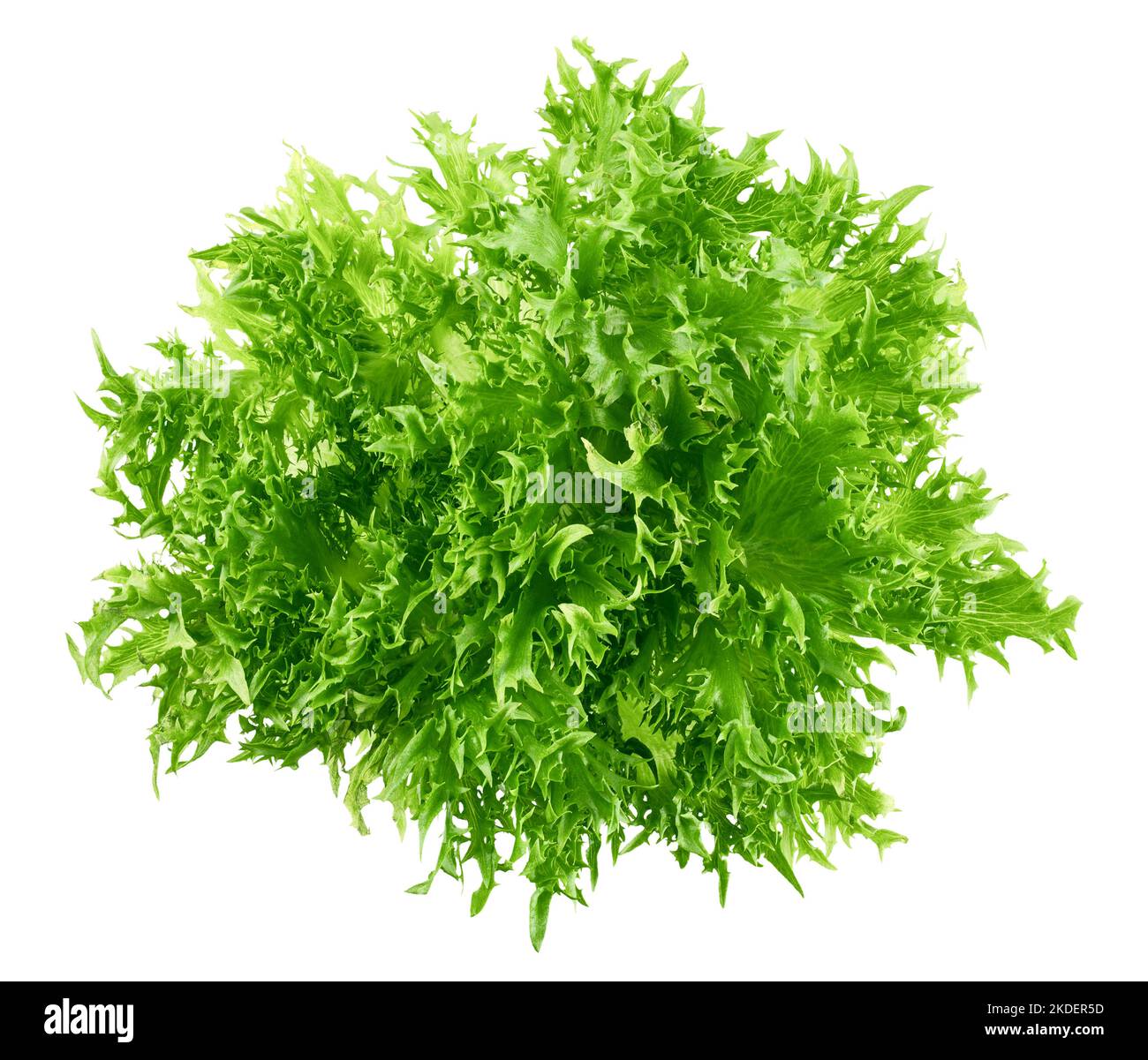 frisee, frieze, salad, lettuce, isolated on white background, clipping ...
