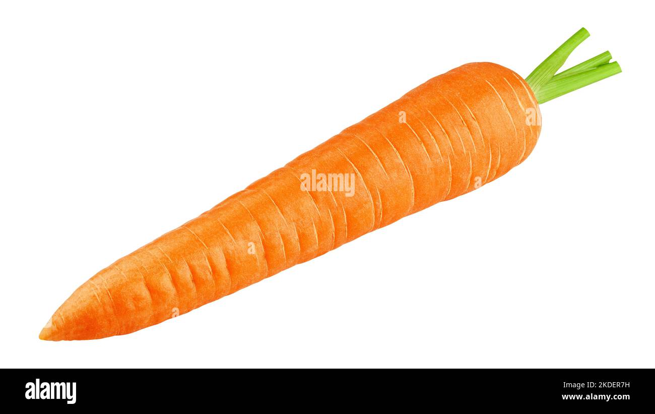 Single Carrot