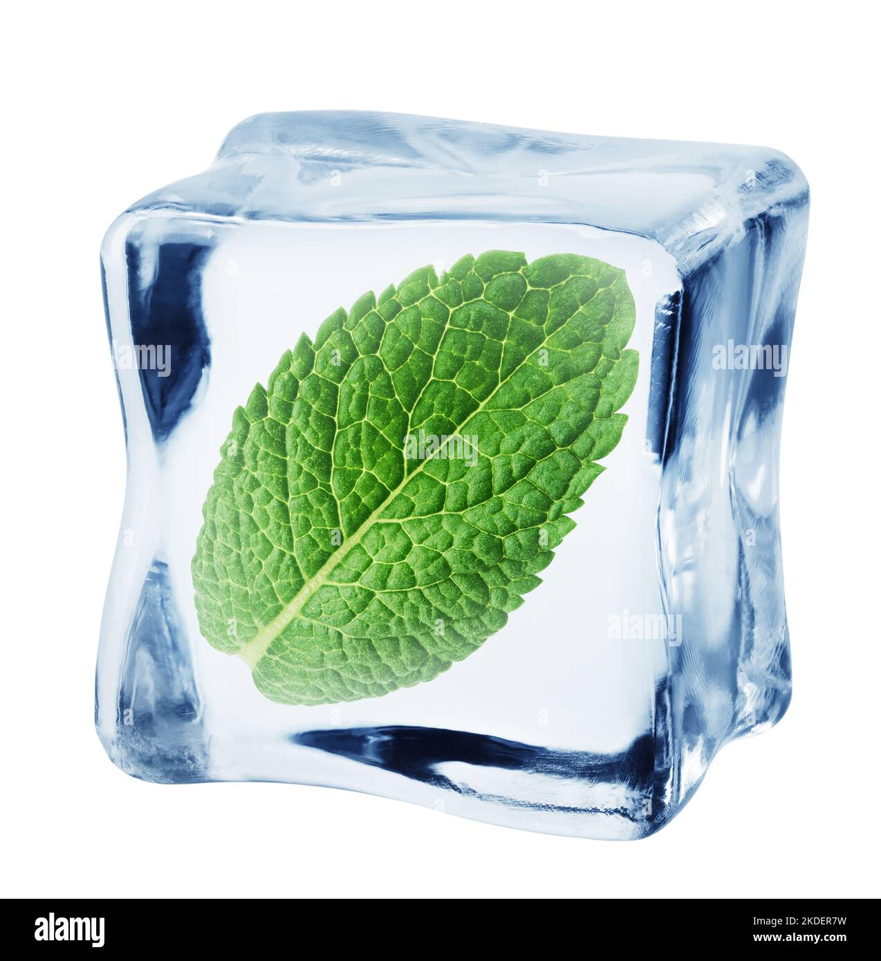 mint leaves in ice cube, isolated on white background, clipping path, full depth of field Stock ...