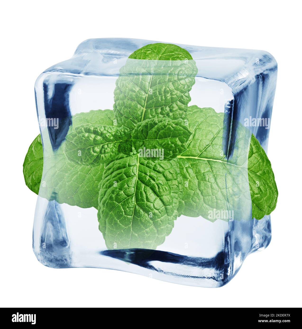 mint leaves in ice cube, isolated on white background, clipping path, full depth of field Stock ...