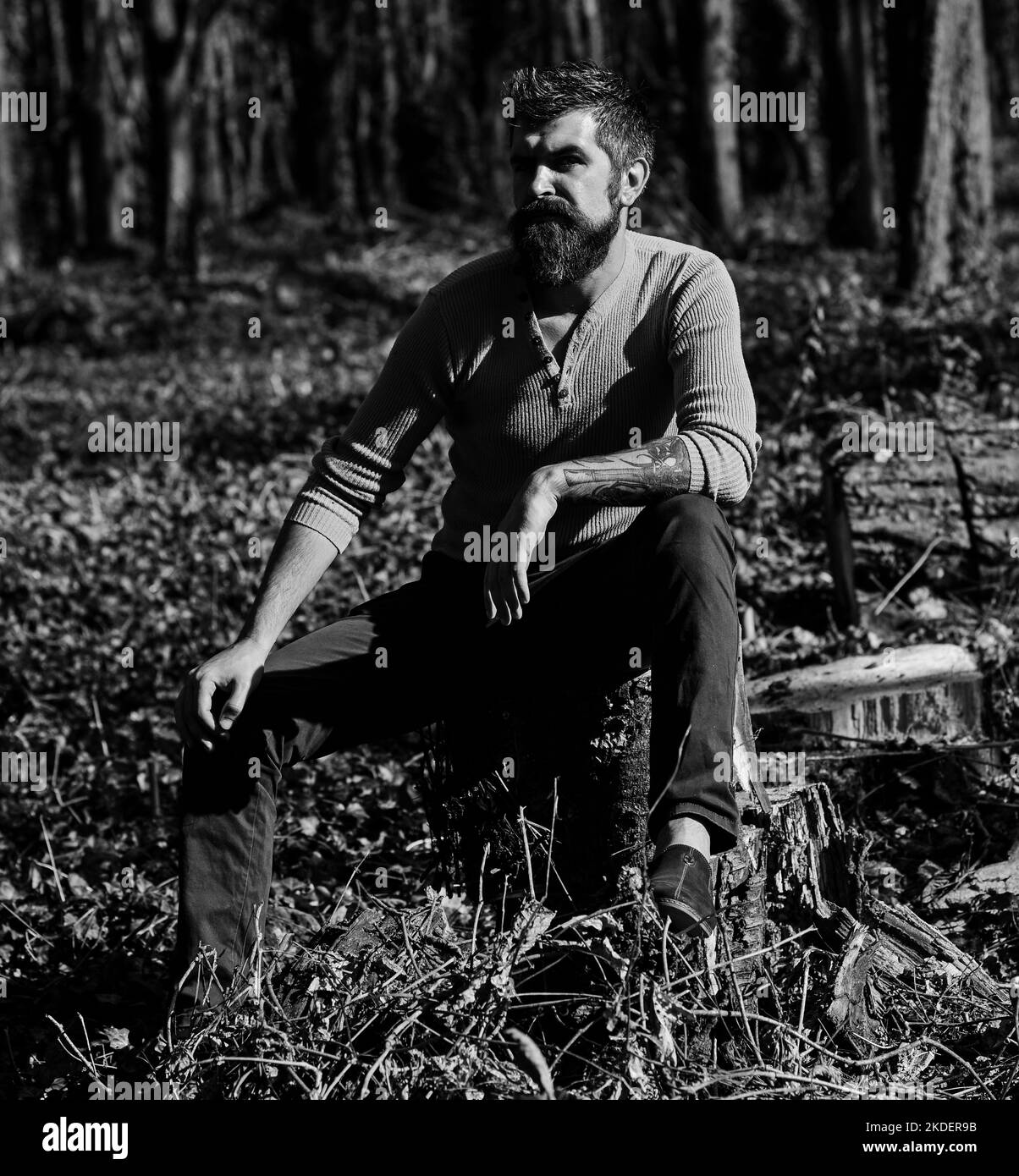 Macho spends time in park. Guy with beard on stump Stock Photo - Alamy
