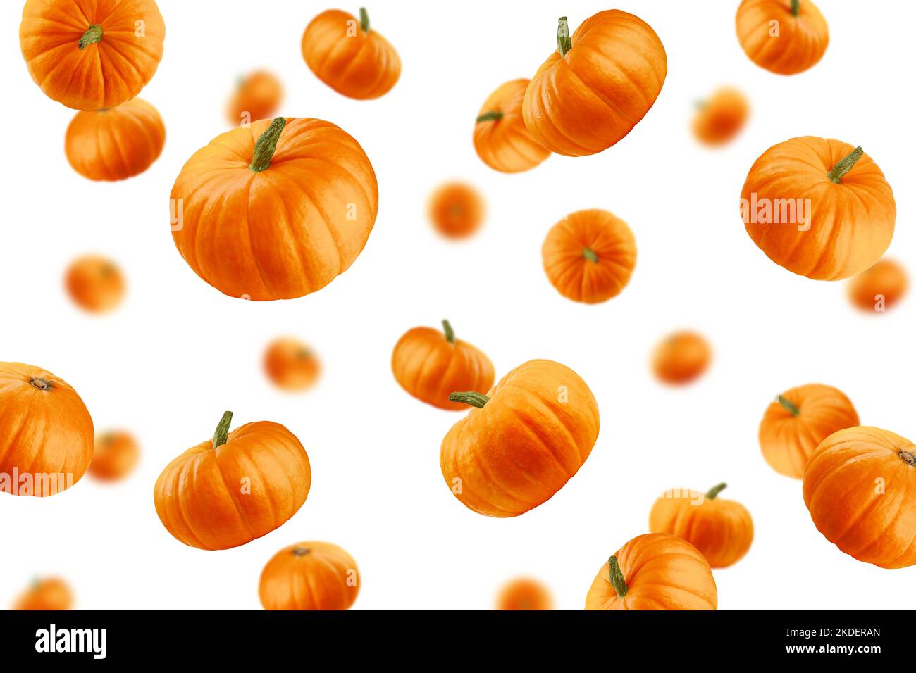 Falling Pumpkin isolated on white background, selective focus Stock ...