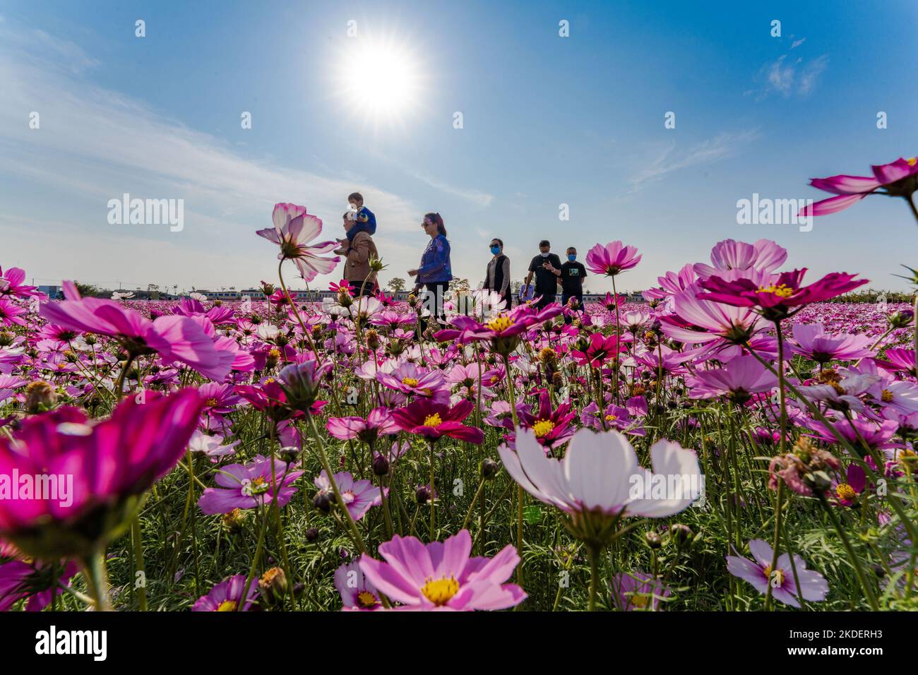 HEFEI, CHINA - NOVEMBER 5, 2022 - People set up tents to camp by the ...