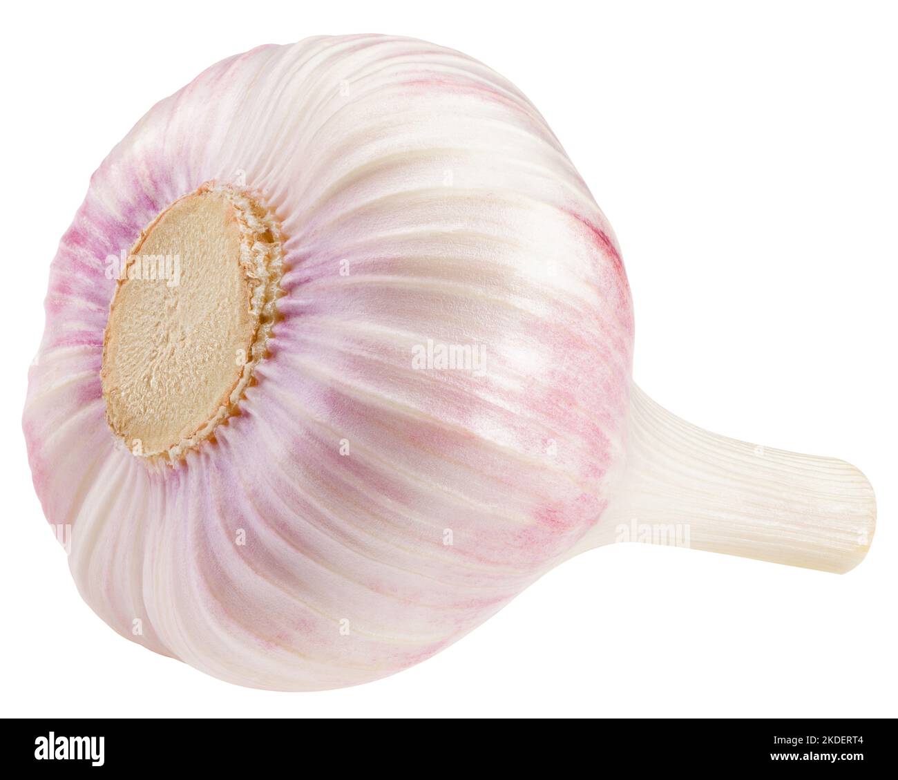 garlic, isolated on white background, clipping path, full depth of ...