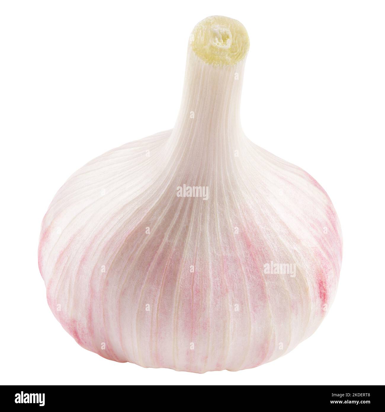 garlic, isolated on white background, clipping path, full depth of ...