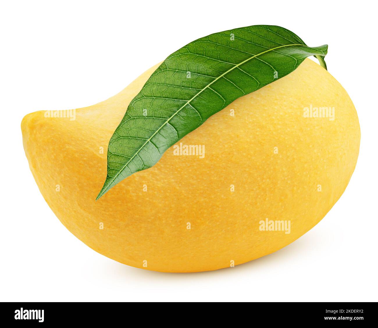 yellow mango isolated on white background, clipping path, full depth of ...