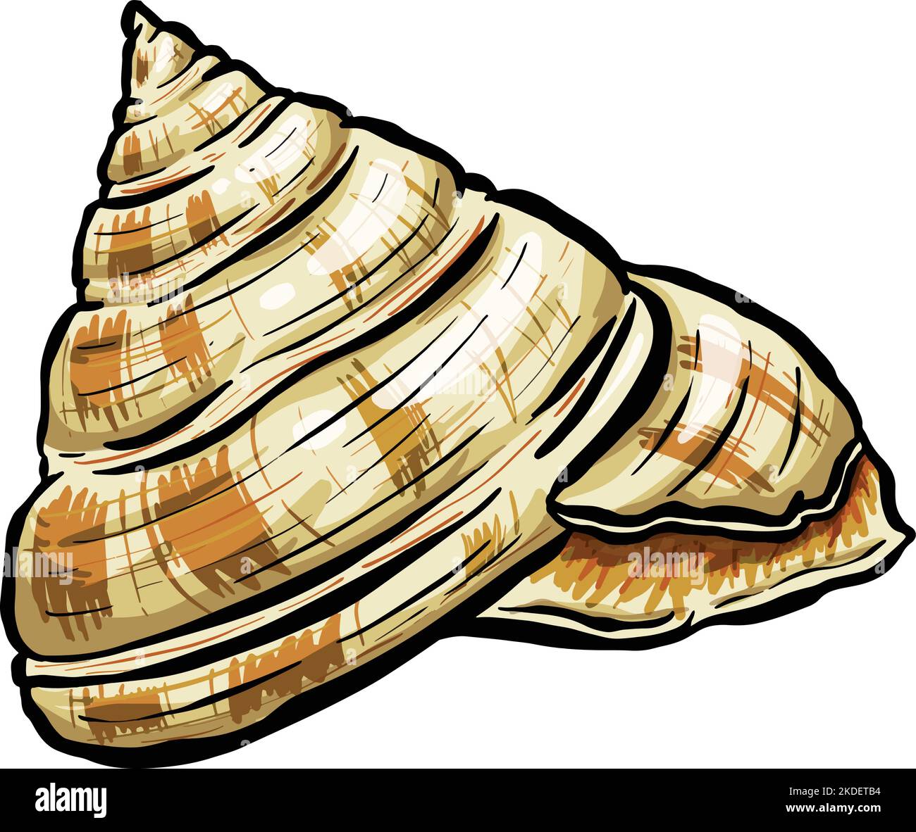 Conch Sea Snail Shell Outline Cartoon Style Logo Design in Vector Stock ...