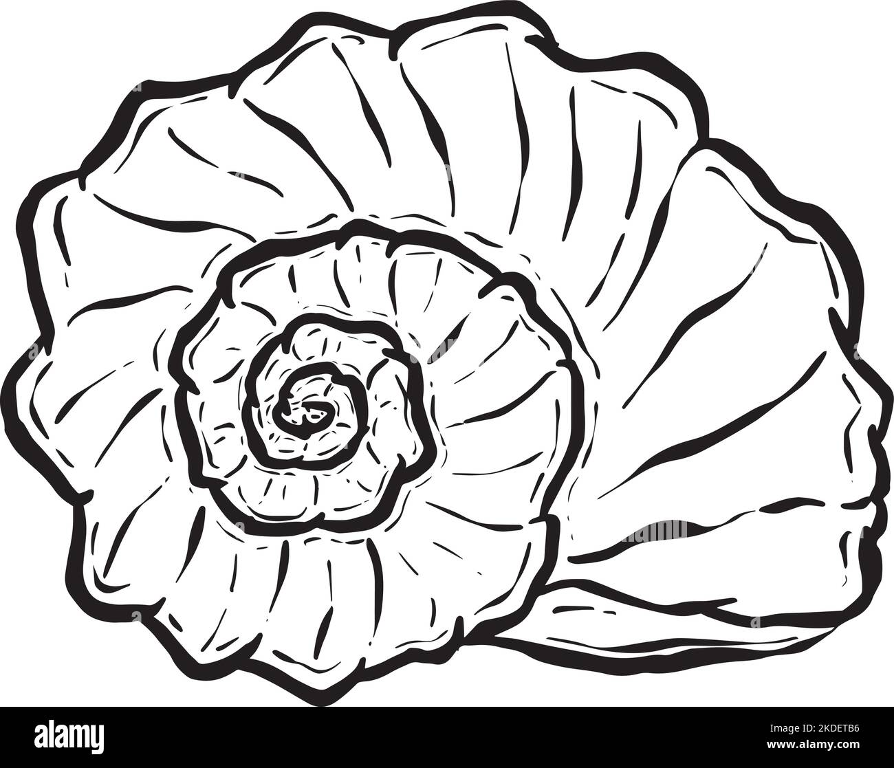 Conch Sea Snail Shell Outline Cartoon Style Logo Design in Vector Stock ...