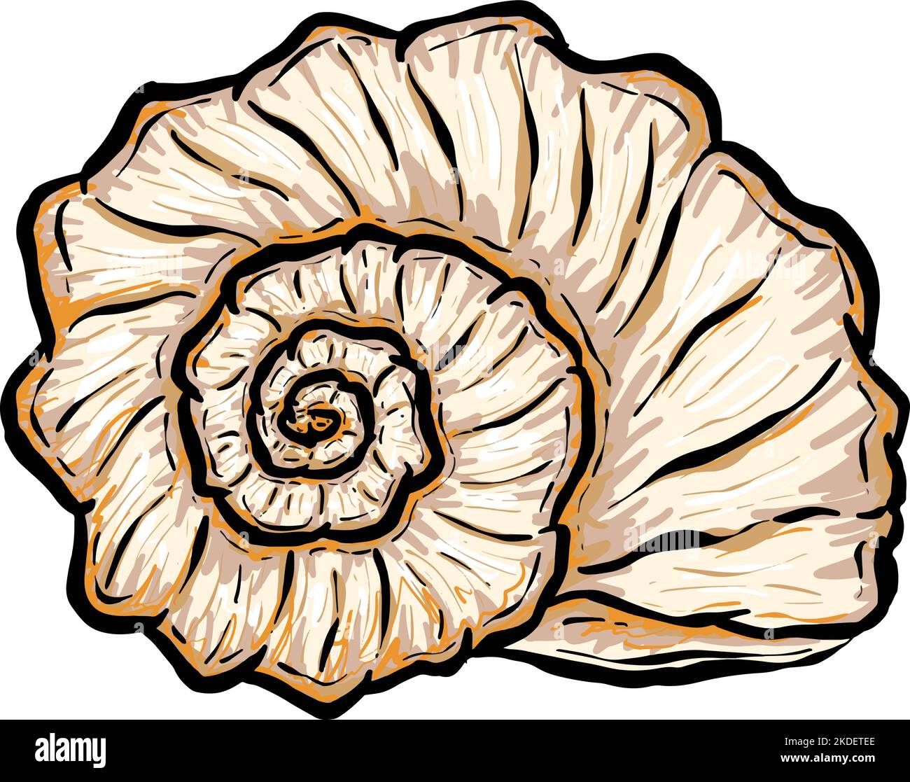 Conch Sea Snail Shell Outline Cartoon Style Logo Design in Vector Stock ...