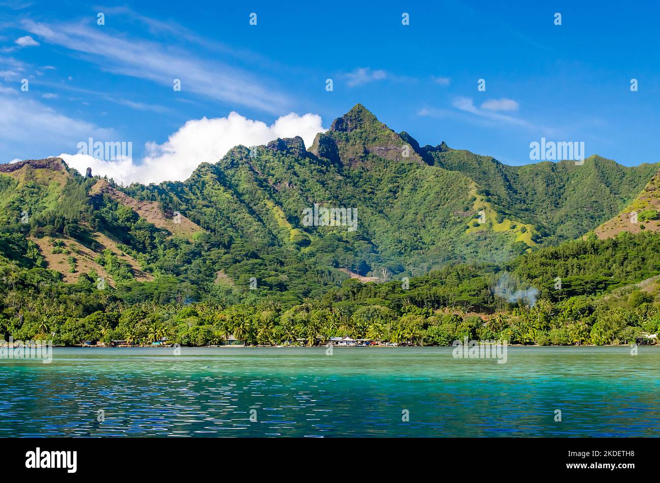 Tropical beach in Moorea, French Polynesia Stock Photo - Alamy