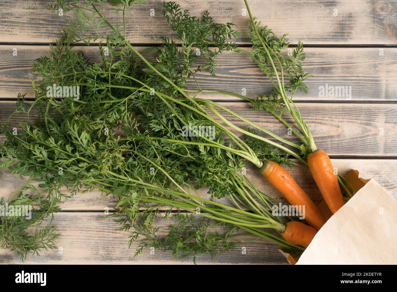 Faded greens hi-res stock photography and images - Alamy