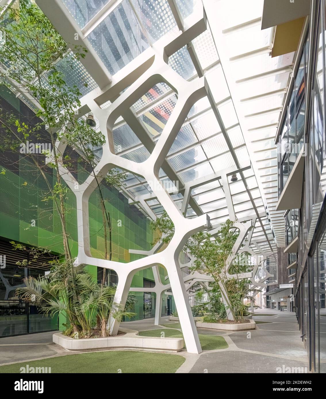 Arm architecture hi-res stock photography and images - Alamy