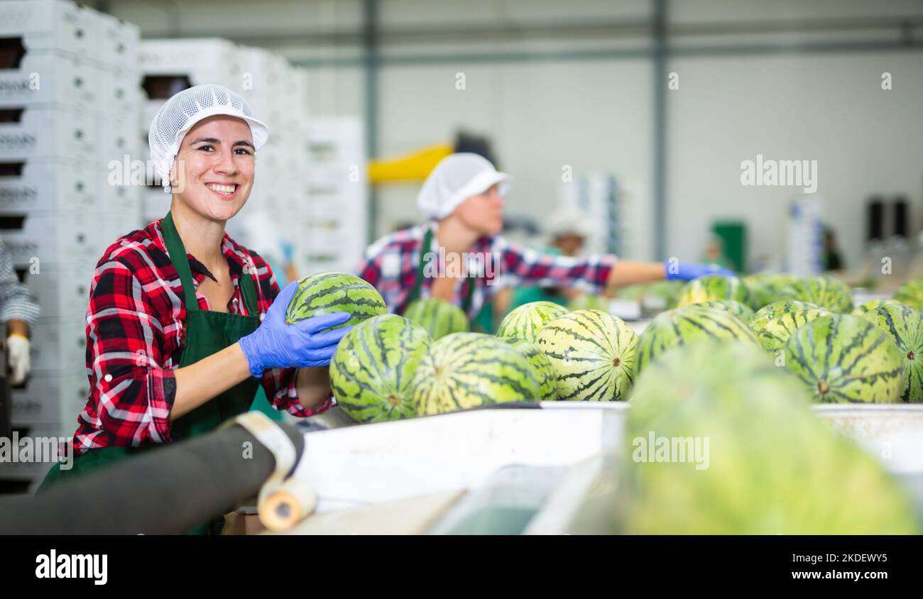 Vegetable facility hi-res stock photography and images - Alamy