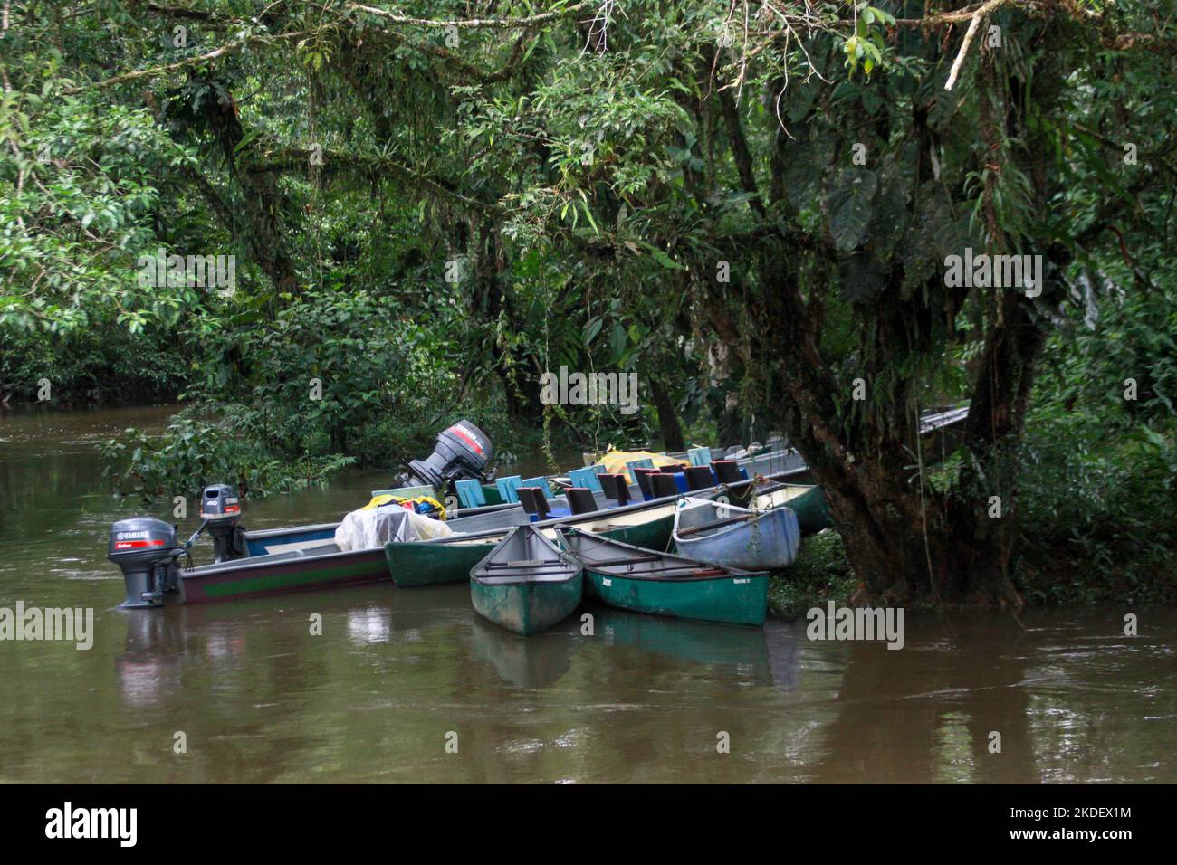 River transport at the Ecuadorian Amazonian rainforest photographed at ...