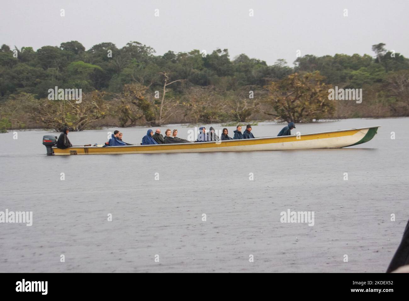 River transport at the Ecuadorian Amazonian rainforest photographed at ...