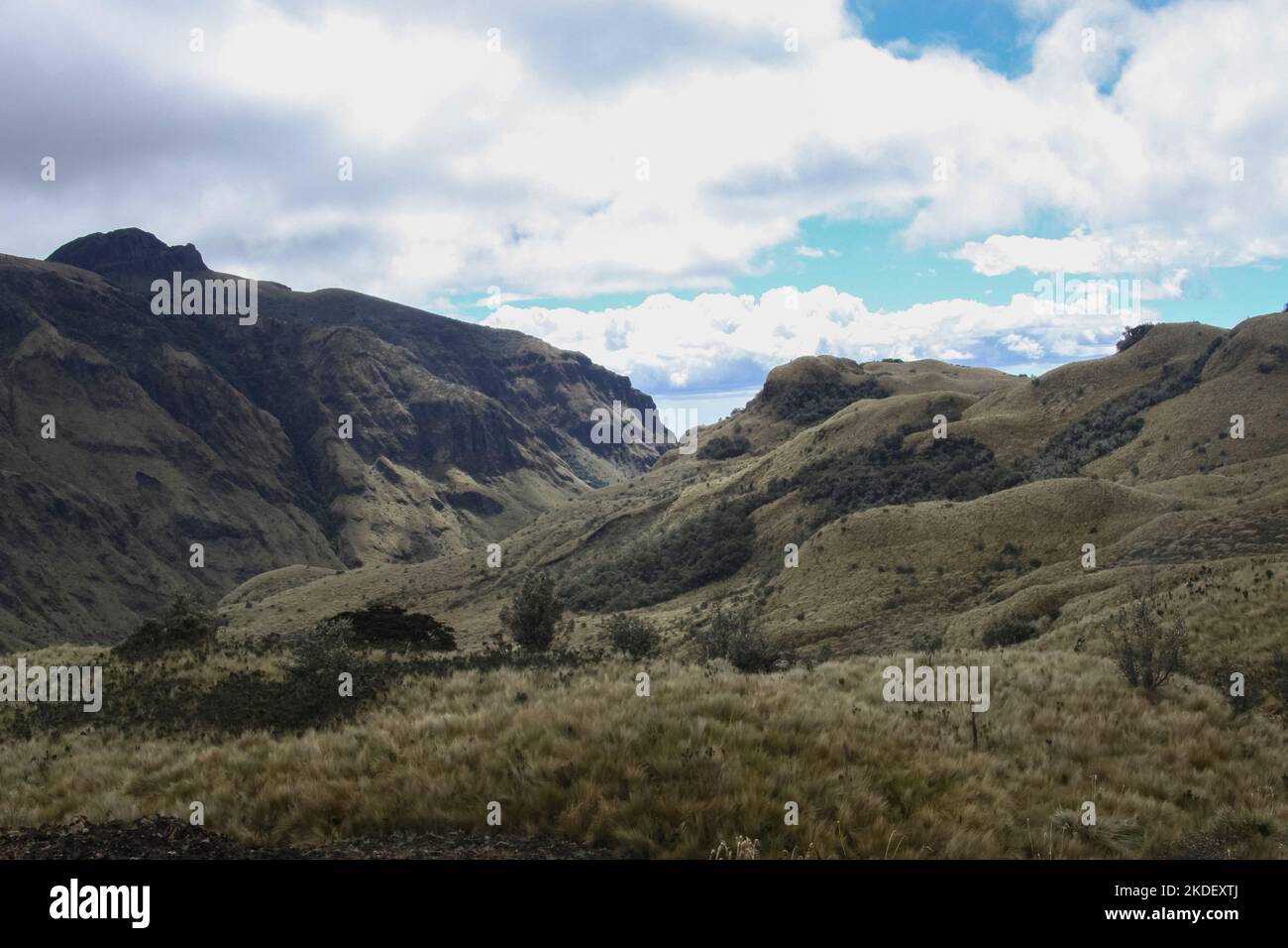 Andes Mountains, Ecuador Stock Photo - Alamy