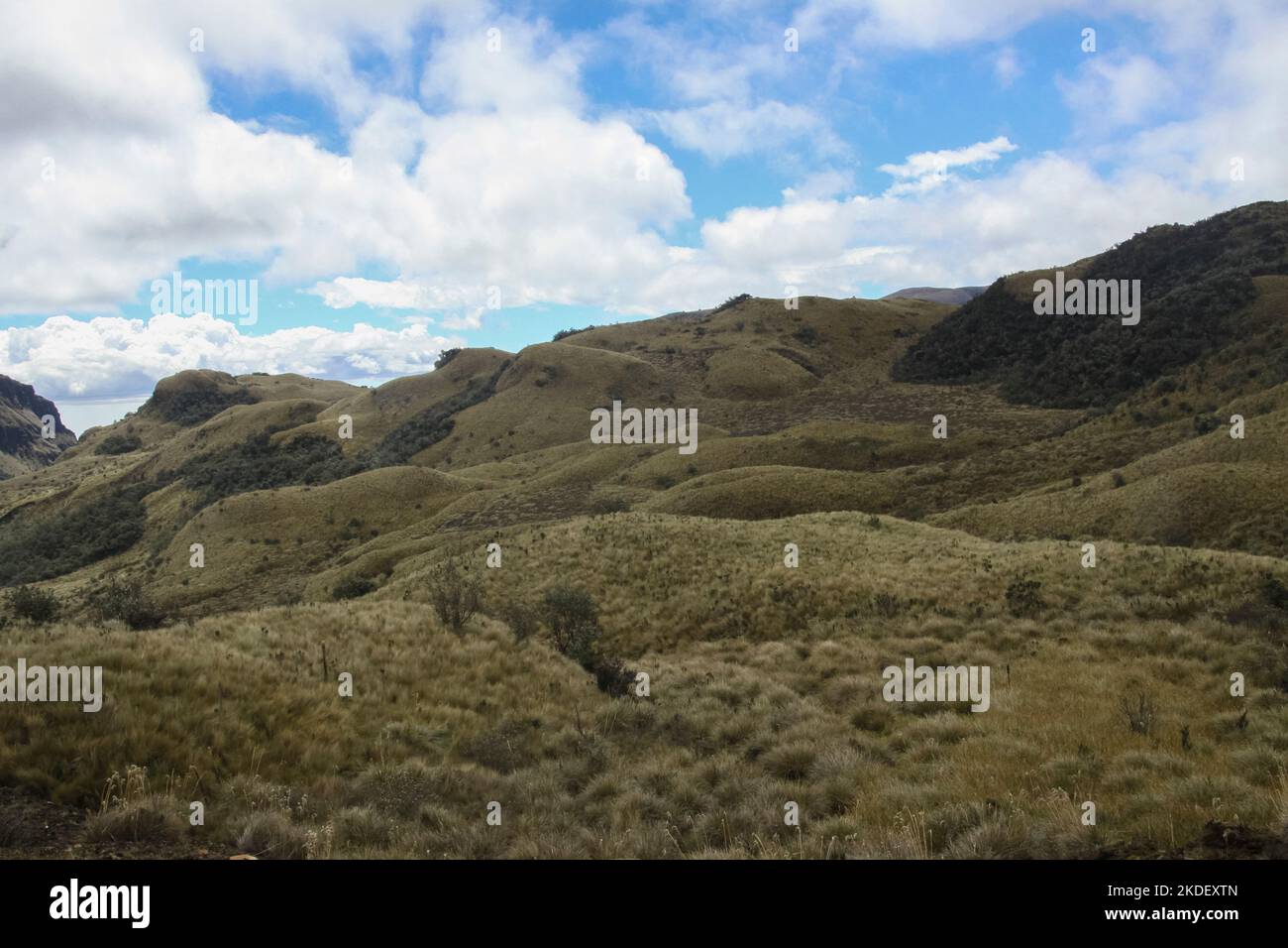 Andes Mountains, Ecuador Stock Photo - Alamy