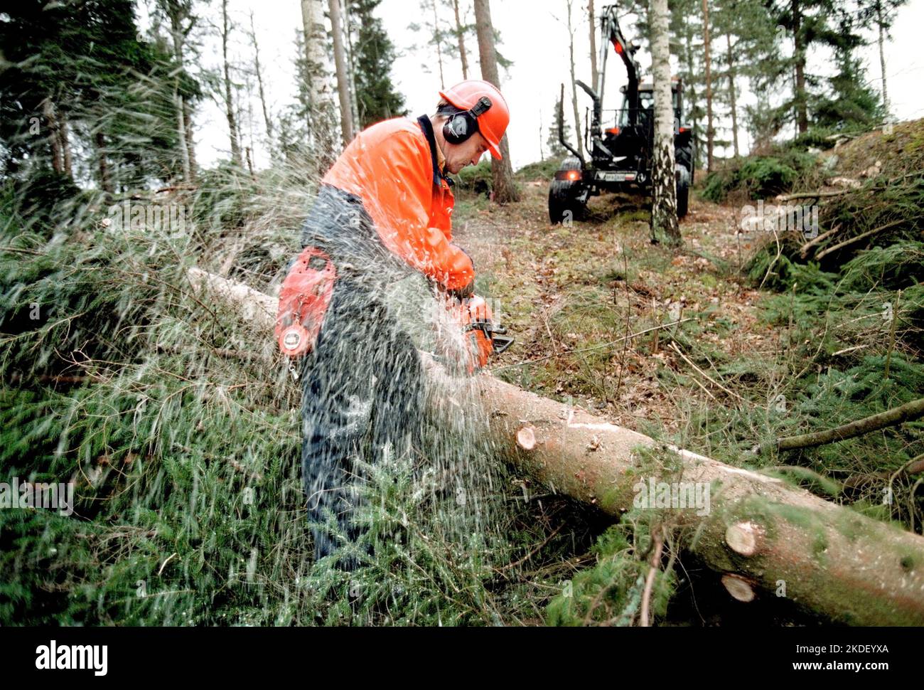 A business in a municipality, forest workers Stock Photo - Alamy