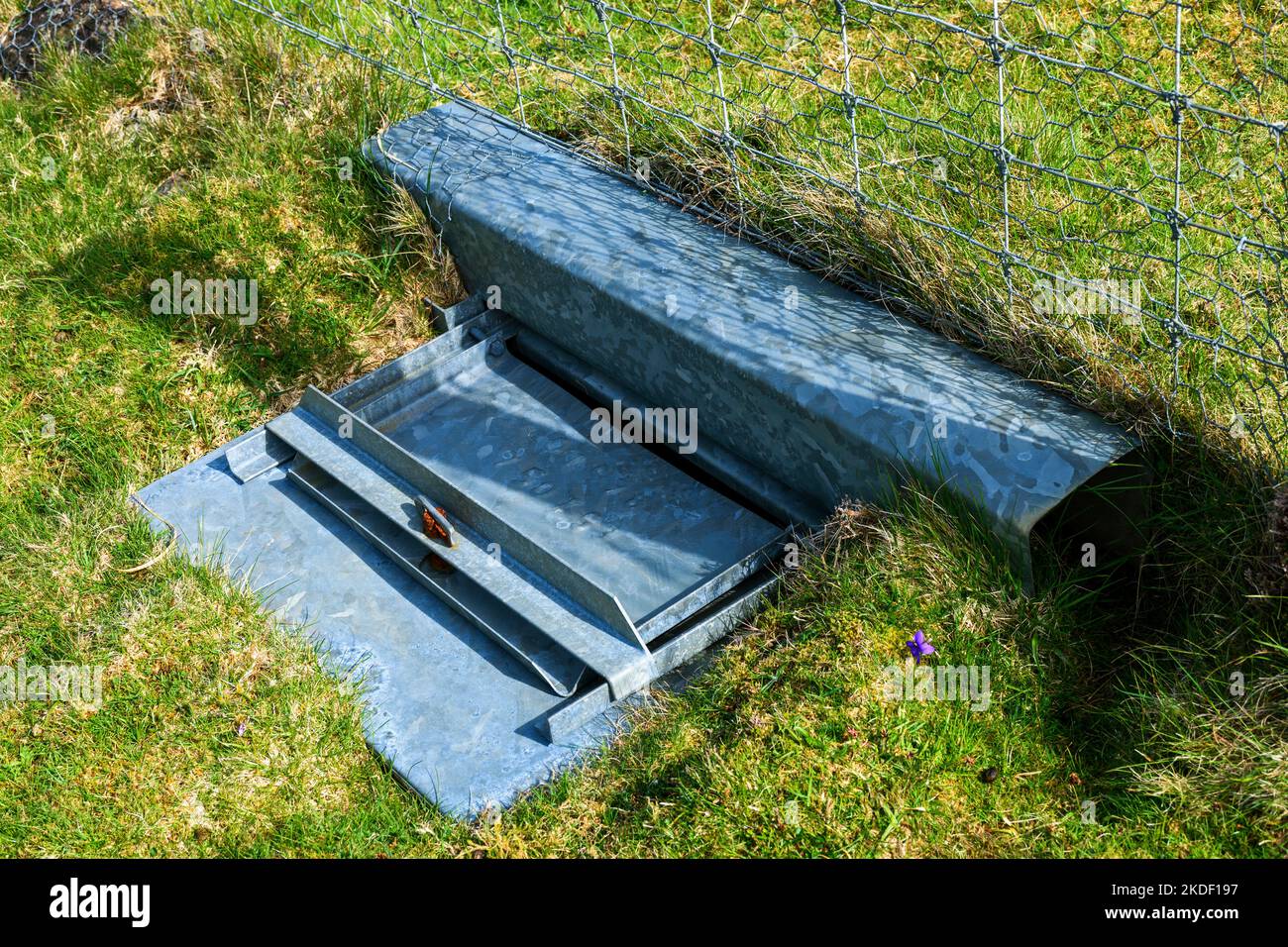 Rat trap hi-res stock photography and images - Alamy