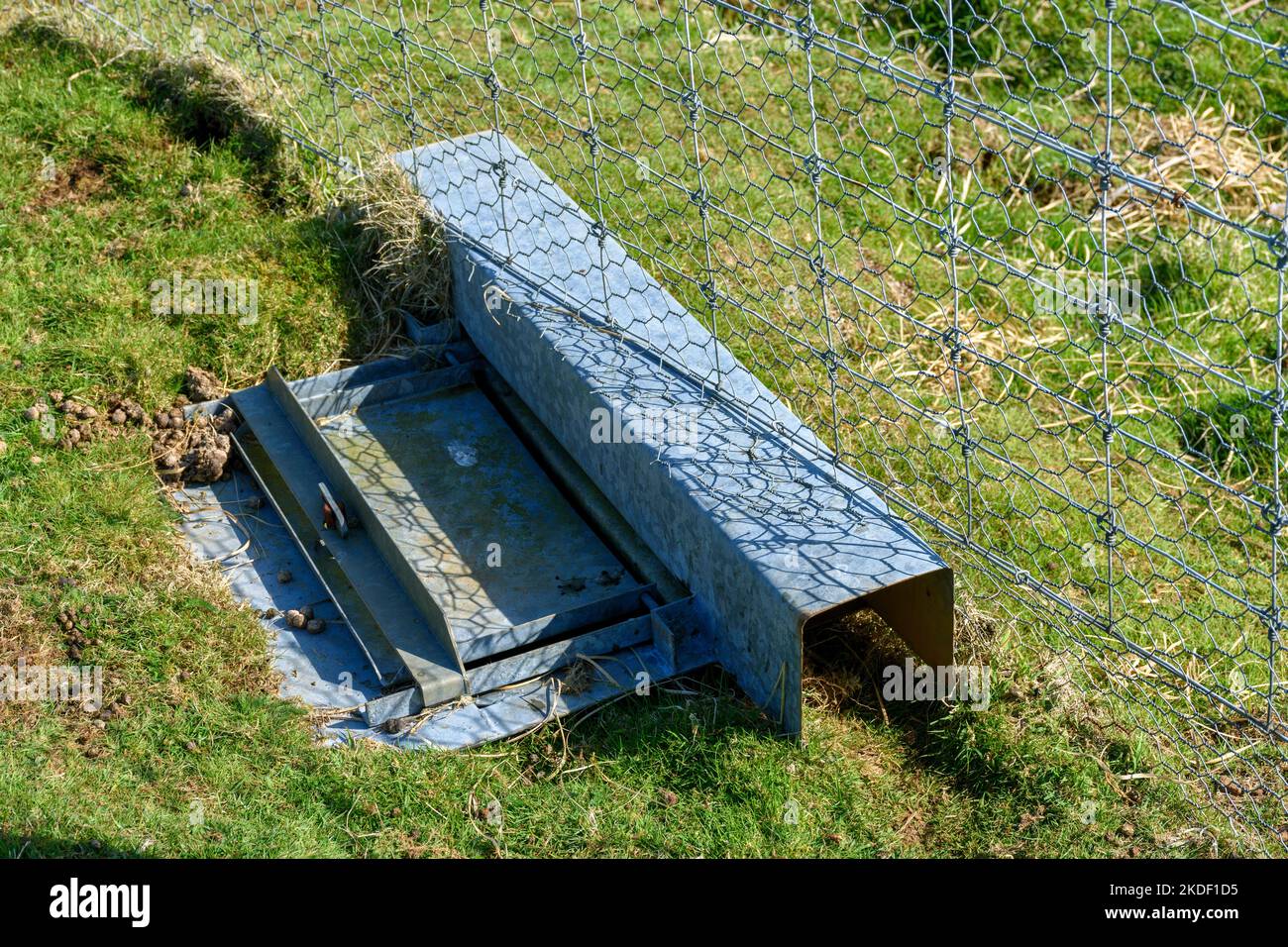 A rat trap on the Isle of Canna, Scotland, UK Stock Photo - Alamy