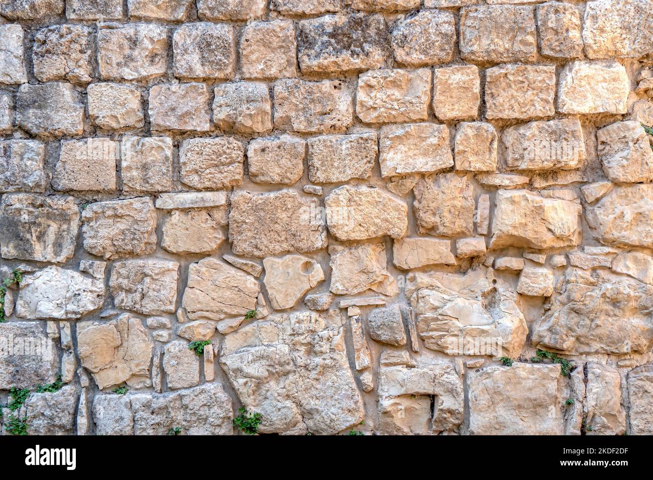 Texture of wall surface made of unevenly cut Jerusalem stones. Isarel ...