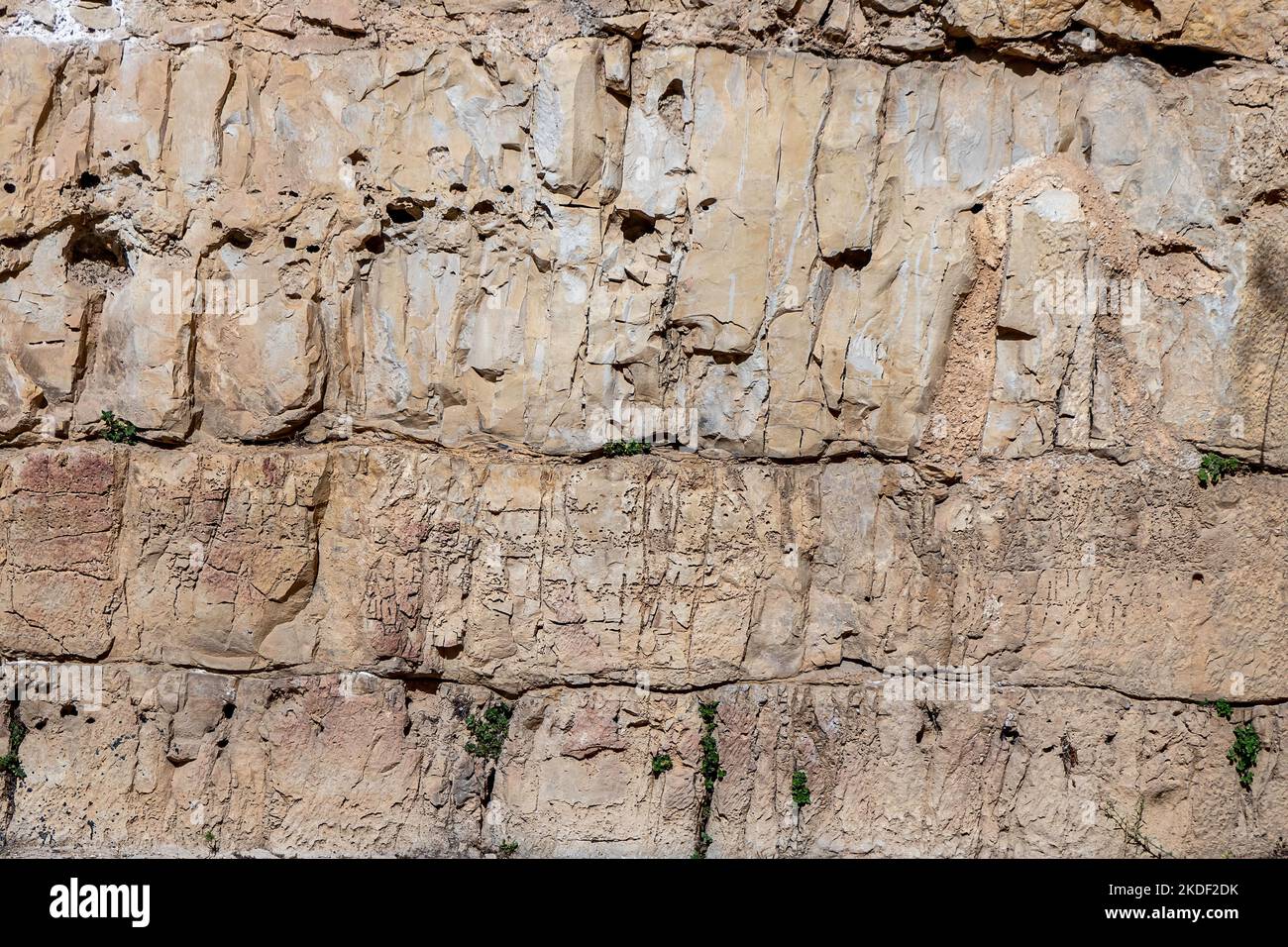 Texture of wall surface made of unevenly cut Jerusalem stones. Isarel ...