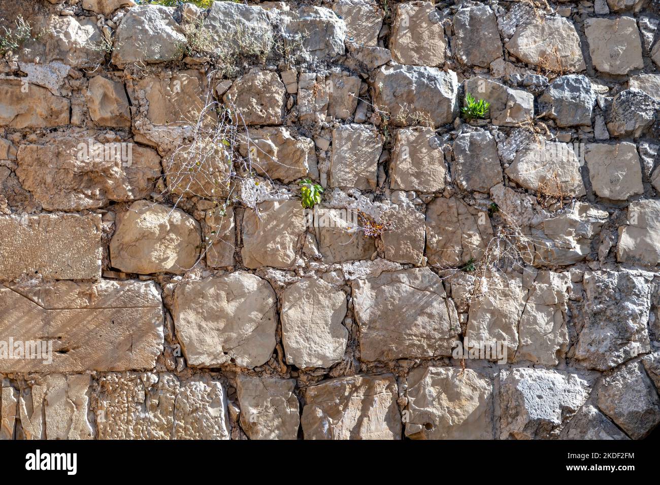 Texture of wall surface made of unevenly cut Jerusalem stones. Isarel ...