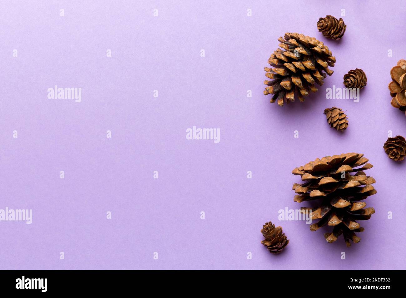 Christmas pine cones on colored paper border composition. Christmas ...