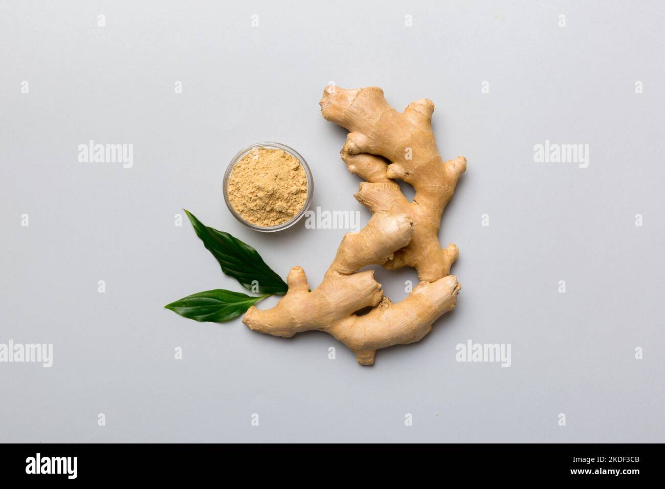 Finely dry Ginger powder in bowl with green leaves isolated on colored ...