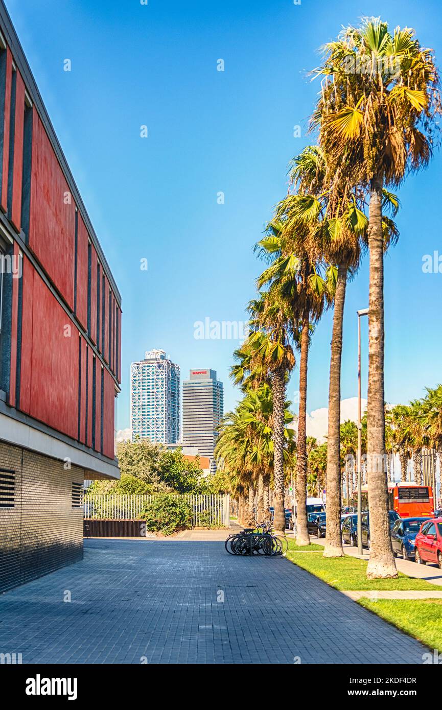 BARCELONA - AUGUST 10: Sidewalk with palm trees and twin skyscrapers on ...