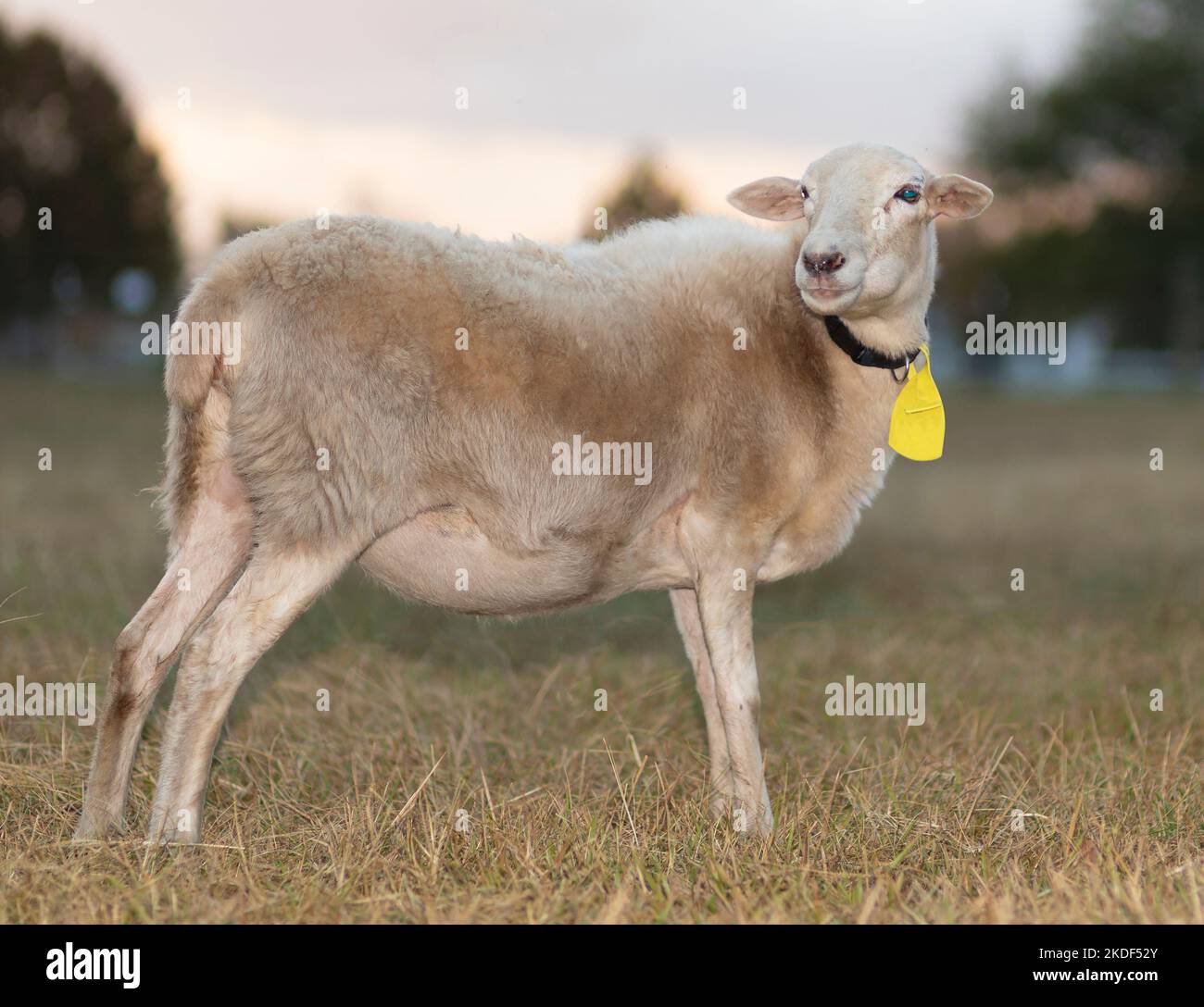 Sun going down behind hi-res stock photography and images - Alamy